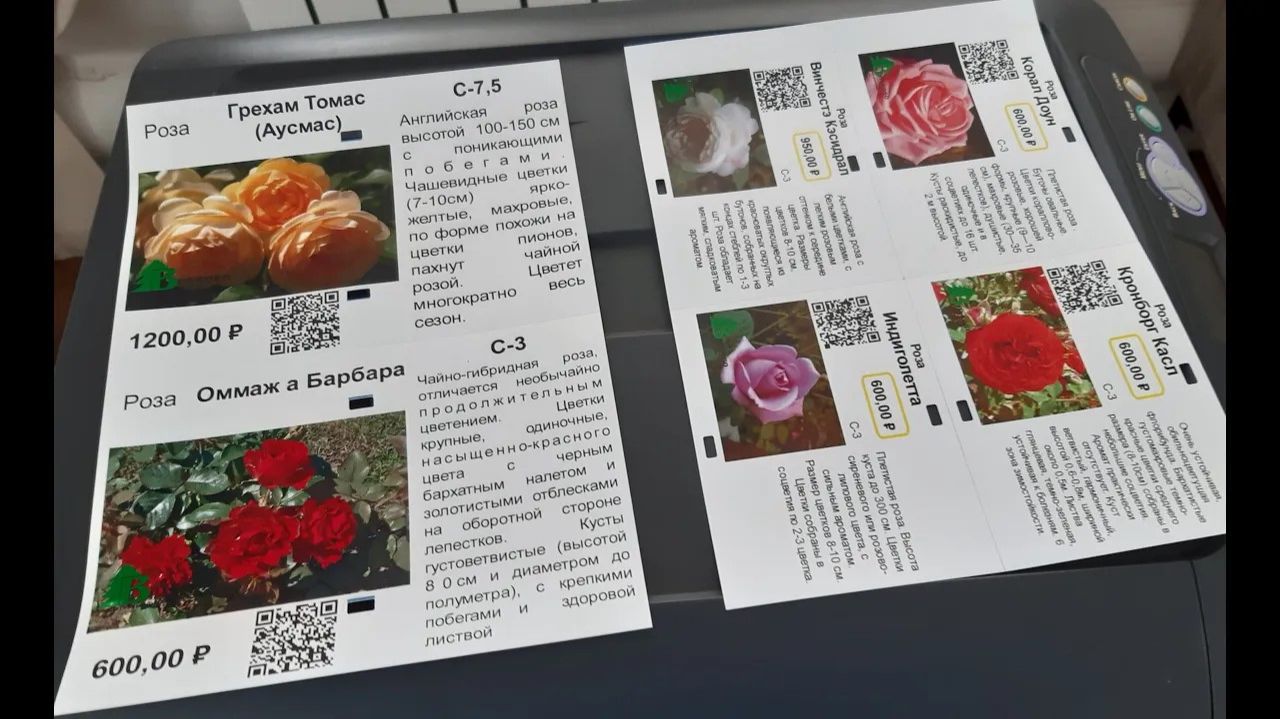 Печать афиш WINDSAFE-4 и 2A5