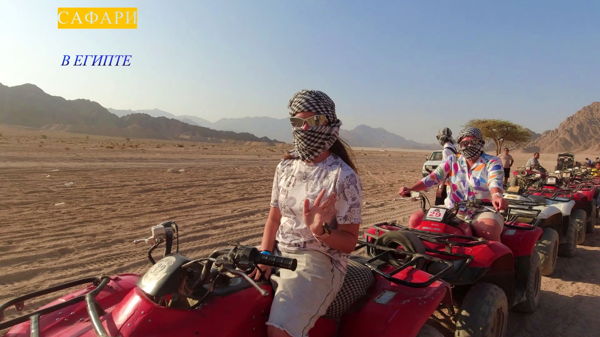 Parrotel Aqua Park Resort 4*, Египет, Шарм-эль-Шейх 2025 ➤ Экскурсия Сафари