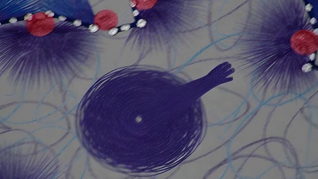 grok-video-096fdab6-1538-448a-87bc-4cd81a79936c (1)