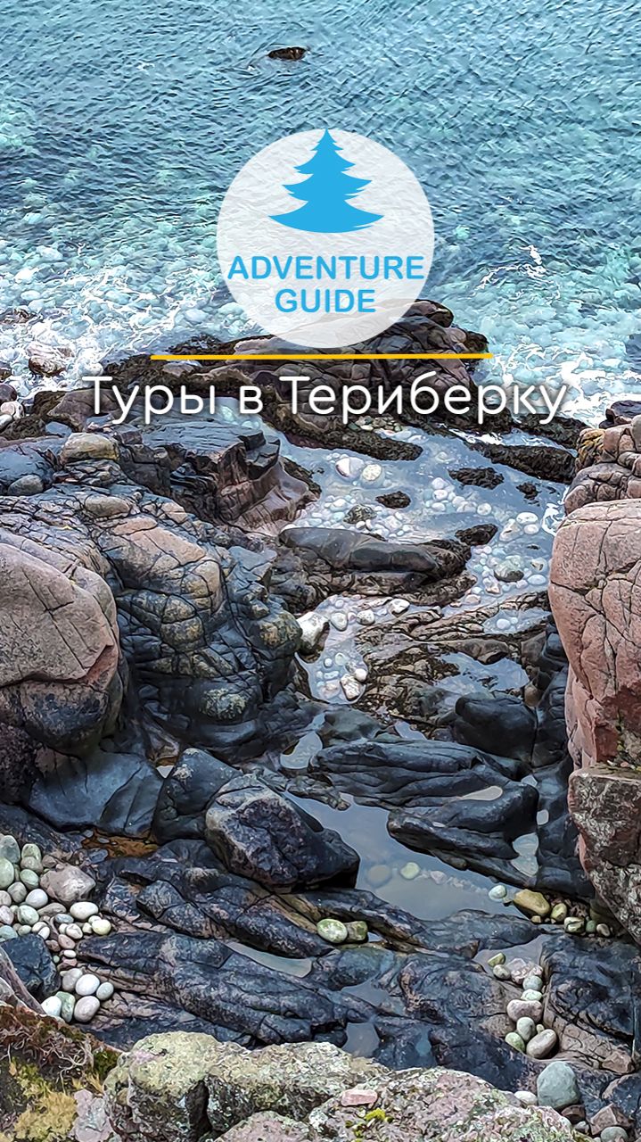 Туры в Териберку #travel #териберка #кольский #кольскийполуостров