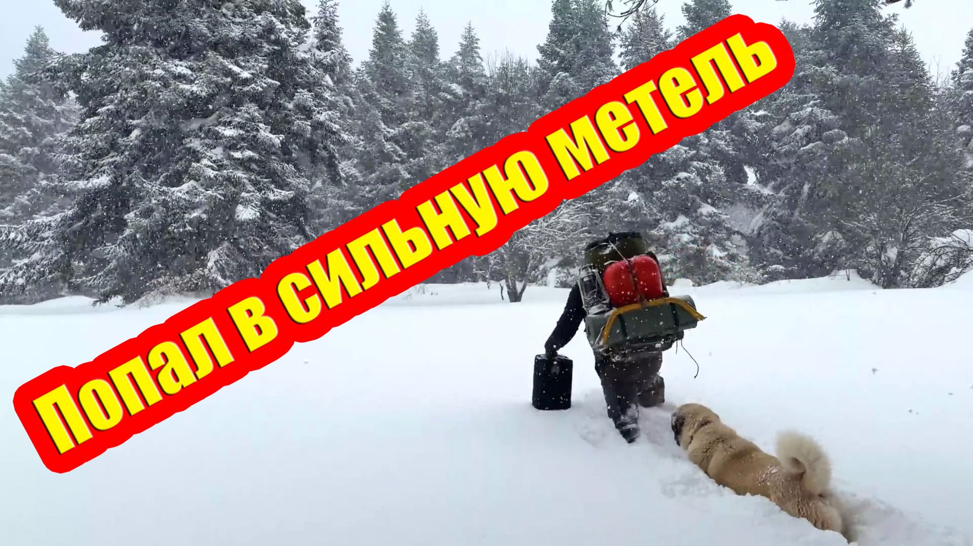 Застрял в жестокой снежной буре! - Экстремальный поход с собакой в снежных просторах!