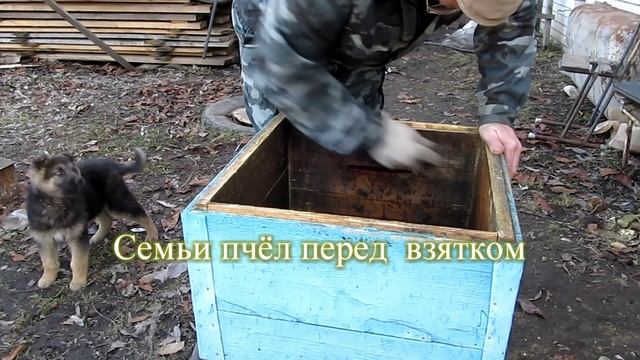 Очистка корпуса улья после нозематоза пчёл