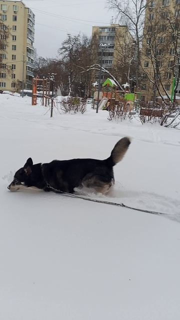 А снегу то намело