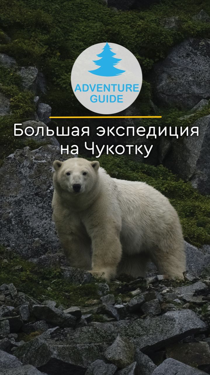 Большая экспедиция на Чукотку #арктика #киты