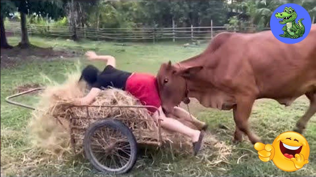 ПОСТАРАЙСЯ НЕ СМЕЯТЬСЯ !!! 🤣🤣🤣