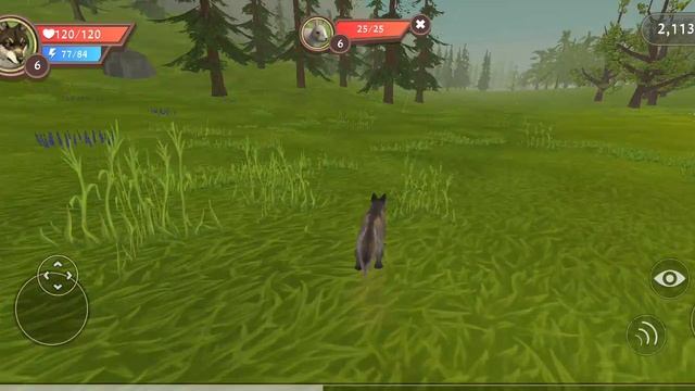 Играю в игру WildCraft: Симулятор Зверей😯😄👍