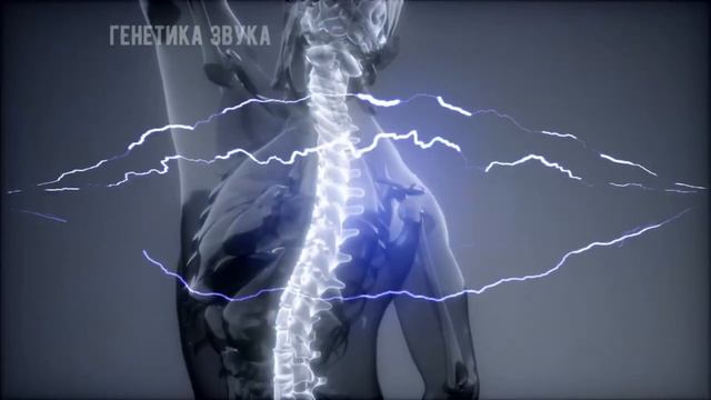 2,5 часа — 7 мощных матриц Петра Гаряева для суставов и хрящевой ткани