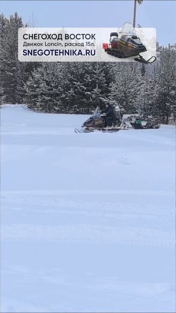 Такие выходные ждёт вся семья! Снегоход Восток, сани и отличное настроение!