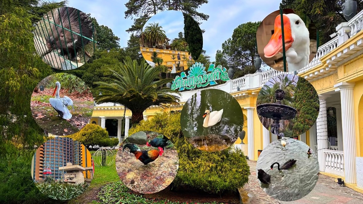 ДЕНДРАРИЙ В Сочи.