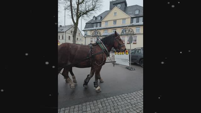 А как у них? Рождество и Новый год в Обервизентале (Саксония, Германия)