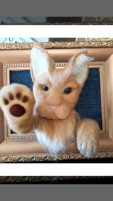 InShot_20250907_170019872