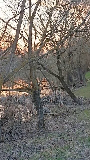 Места для рыбалки в Подльске