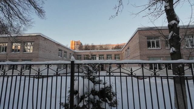 Прогулка 2026.01.05.mp4