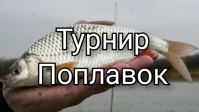 Турнир Поплавок