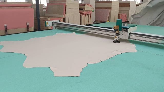 Натуральная кожа со сканированием камерой