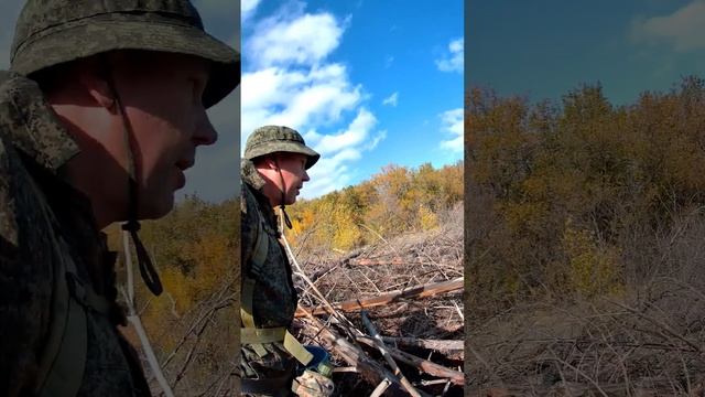 Рядовка красно-желтая