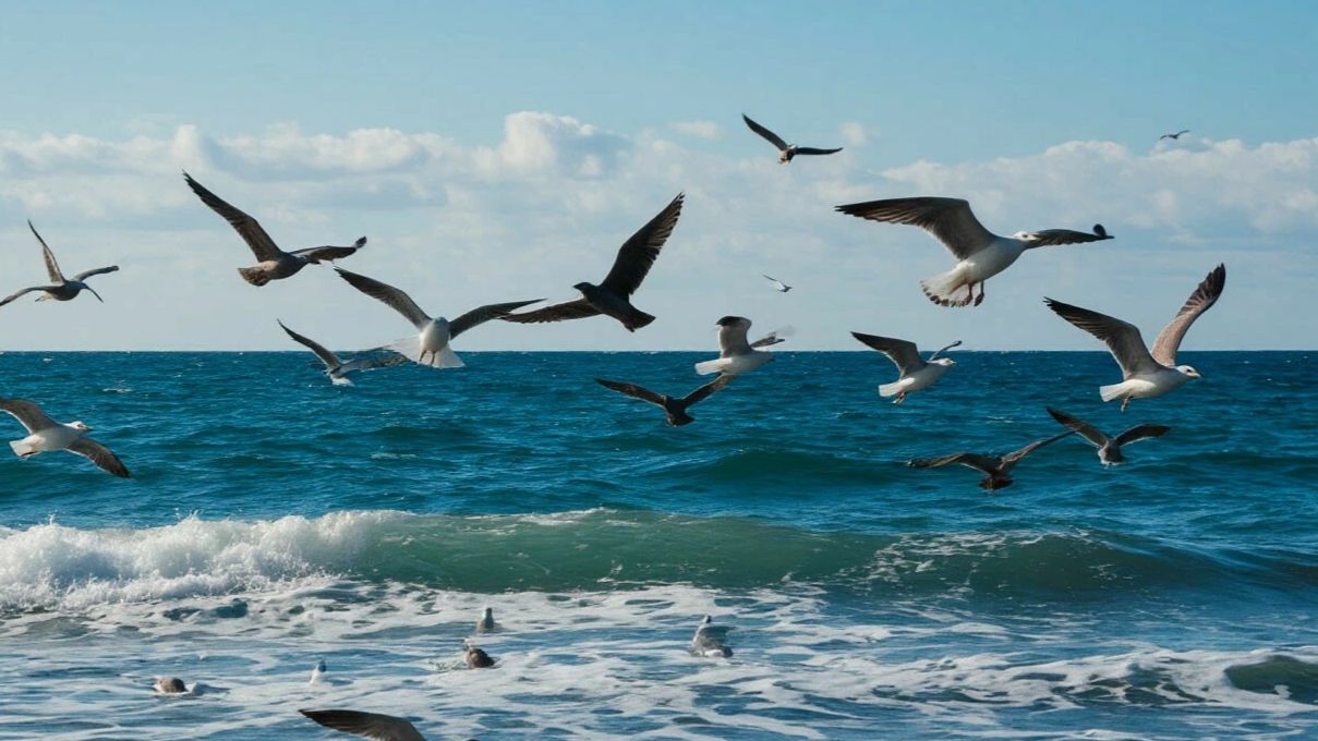 Звуки моря и птиц