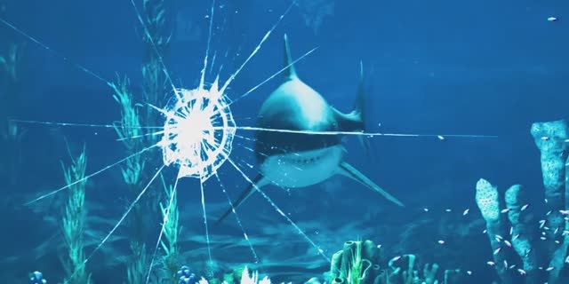 Самый масштабный иммерсивный проект в стране. 1320 м² LED-экранов! | HD LED TECH