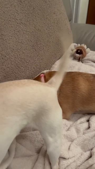 Так хорошо лежу