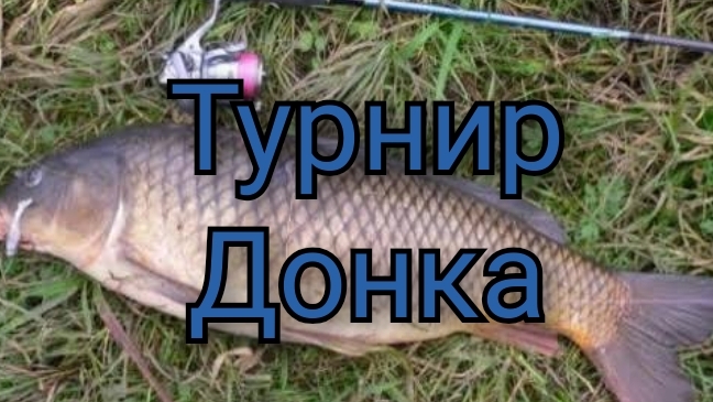 Турнир Донка