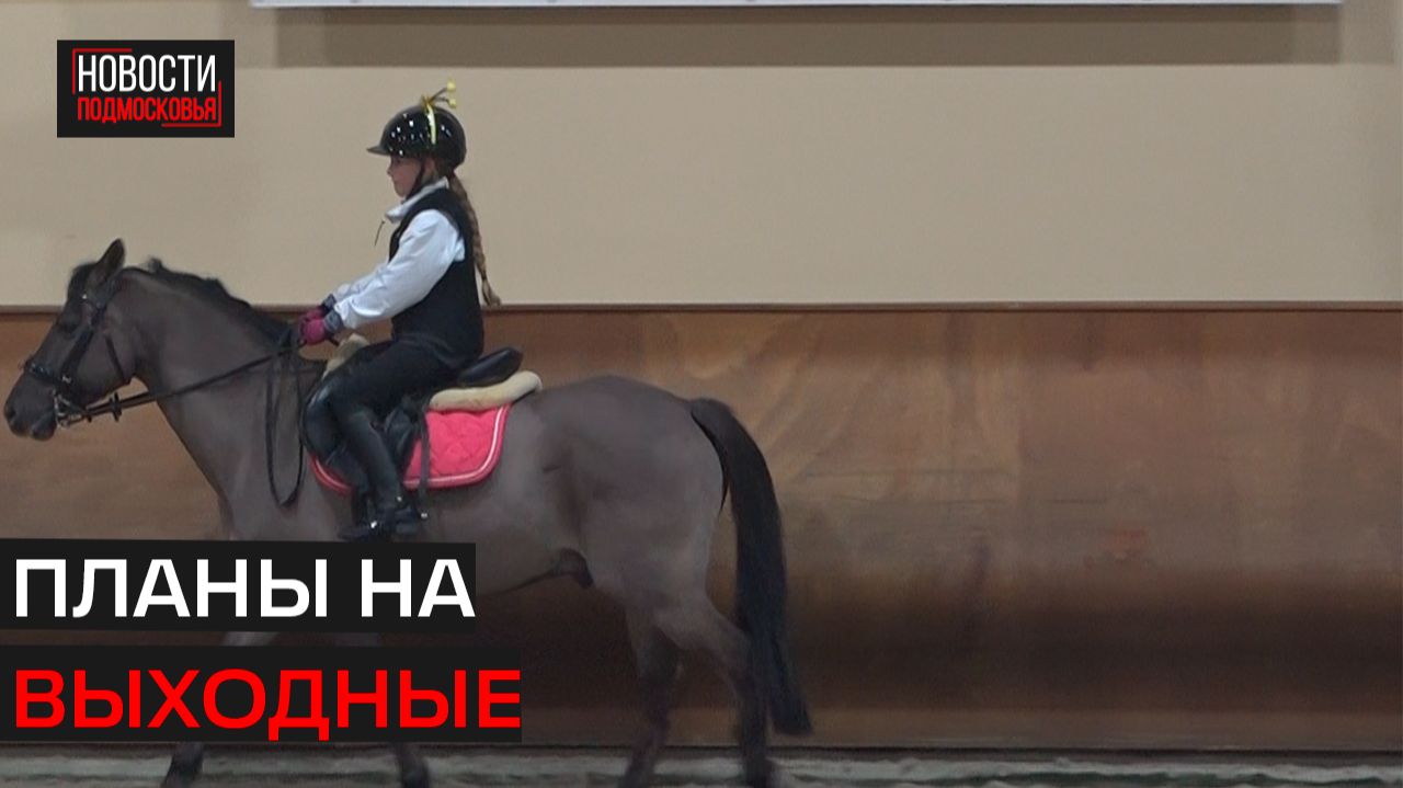 Бесплатный турнир по конкуру пройдёт в Падиково в эти выходные