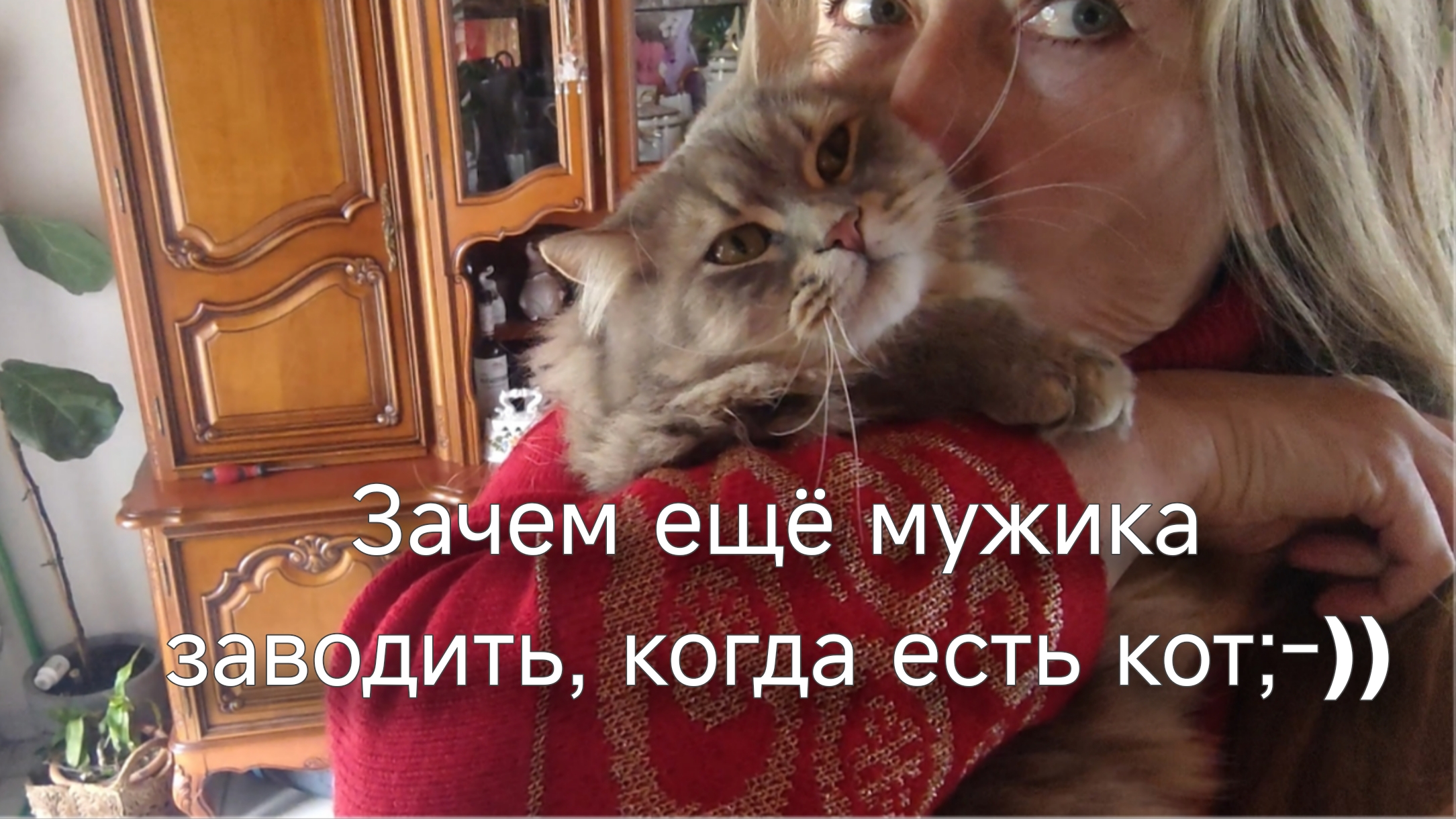 Наколдовала жильцов. Наши туманы. Накупила хлебов.