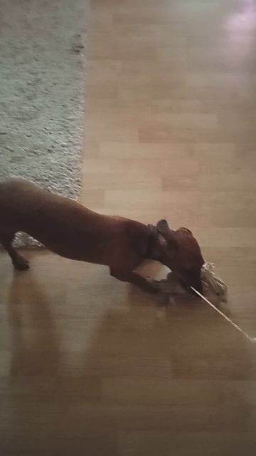 До последней нитки