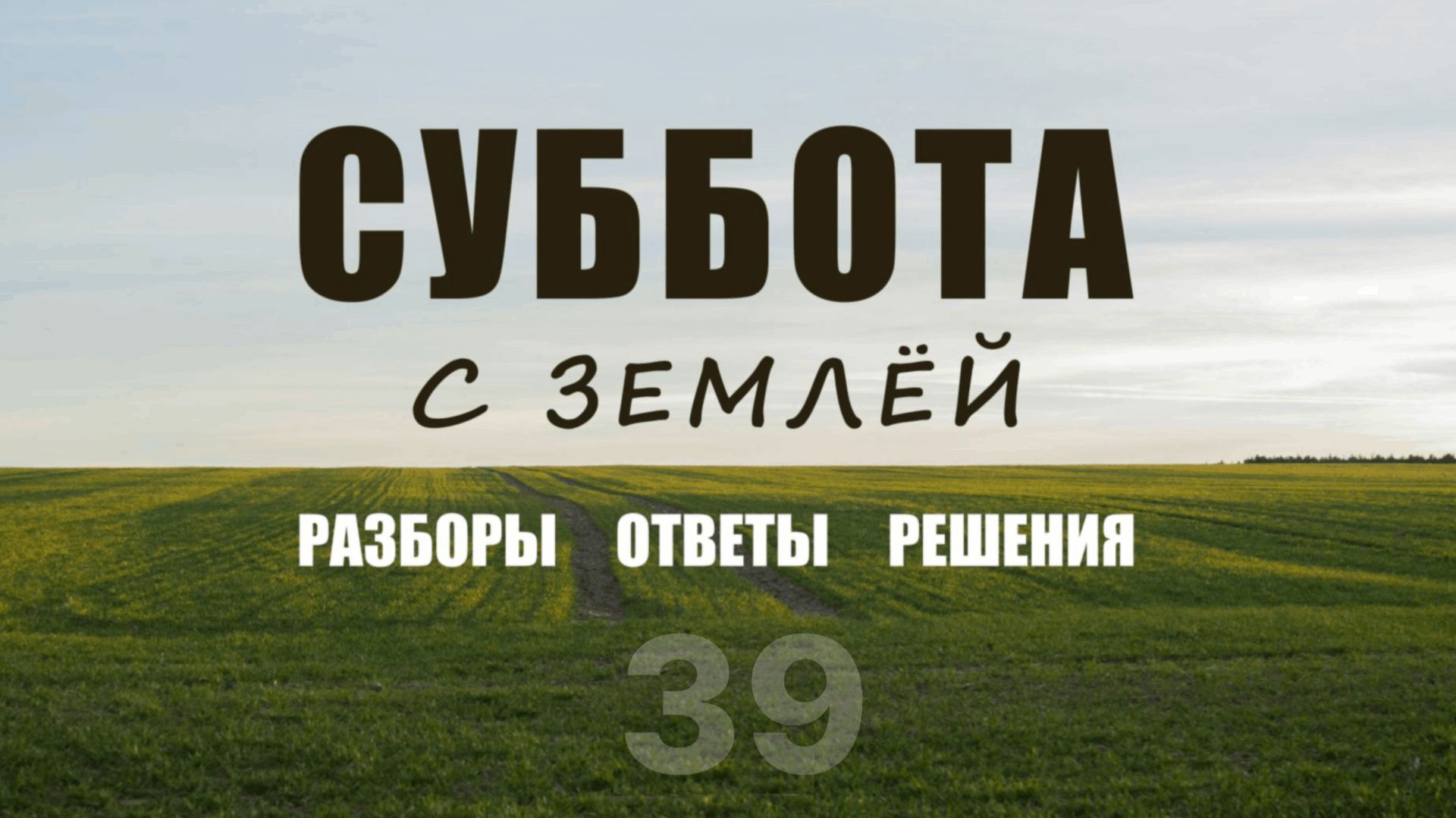 разборы