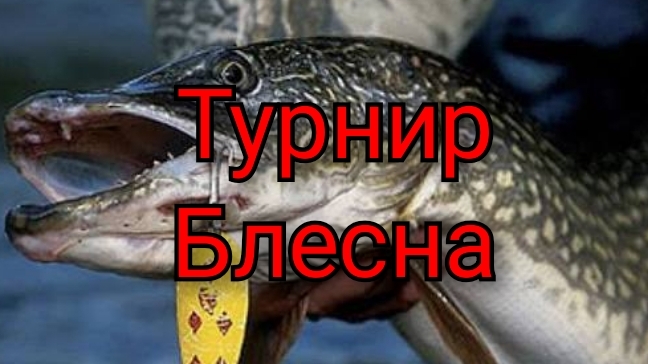 Турнир Блесна