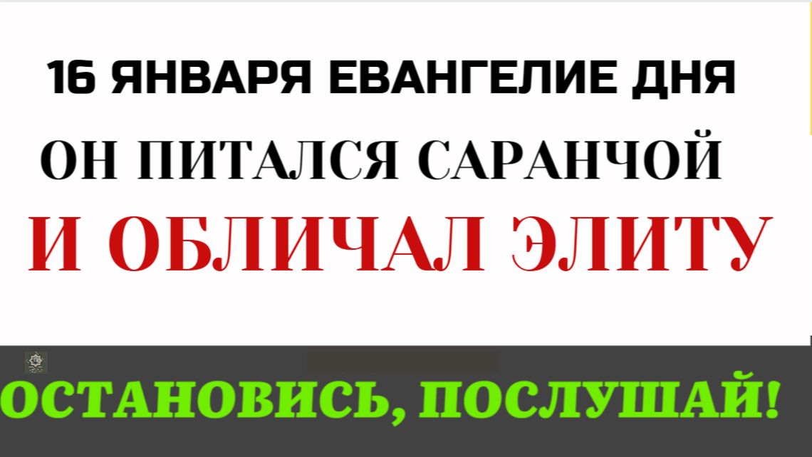 «Порождения ехидны». Почему Иоанн Креститель встретил паломников оскорблением?