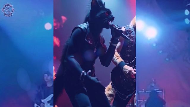 Сектор Газа - Импотент