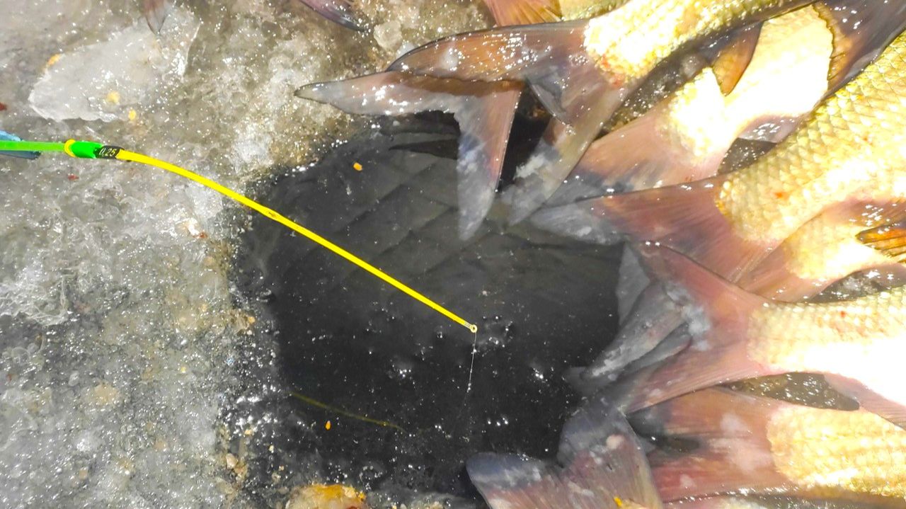 ОНО КЛЮЁТ... ОПЯТЬ И ОПЯТЬ!!! ЗИМНЯЯ РЫБАЛКА НА КАРАСЯ, ЛЕЩА