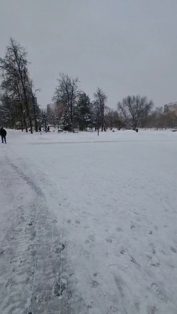 Гуляем в Наташинском парке в подмосковных Люберцах