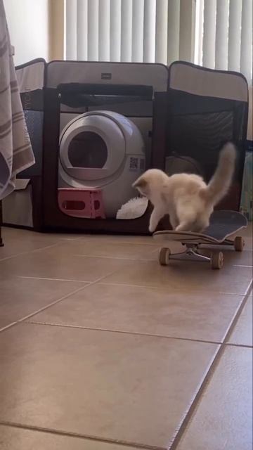 Я помчусь в свой край далёкий, где меня родная ждёт!