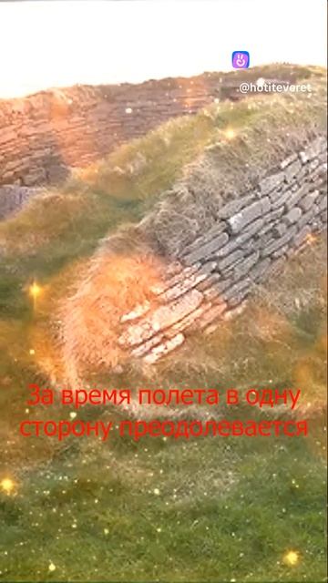 Самый короткий авиаперелет в мире занимает всего 90 секунд