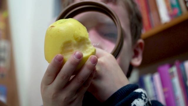 М. Яснов "Открытие"