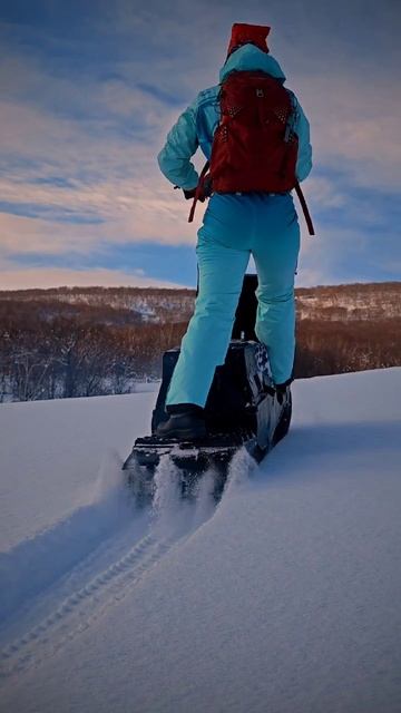 на мотосноуборде мотособаке мотобуксировщике по лесу. Камчатка.