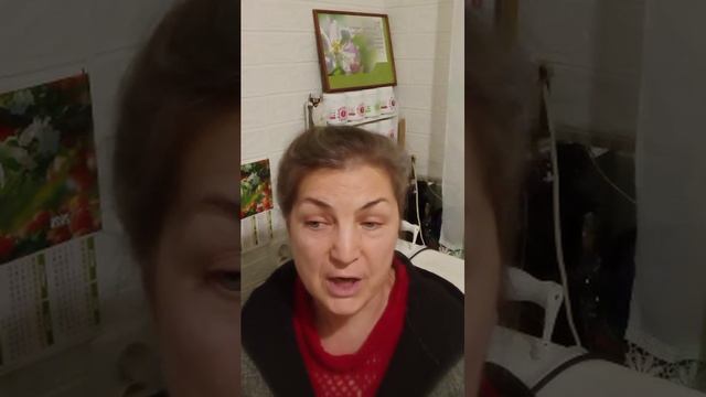 Пробная трансляция на Рутуб.