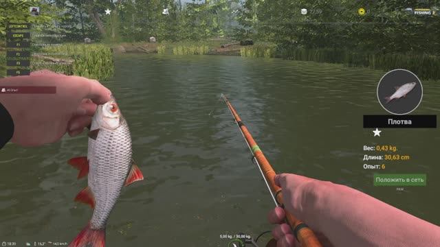 Как в игре Professional Fishing 2 заставить рыбу клевать.