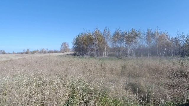 Соснино деревня в Омском районе Омской области/Sosnino is a village in the Omsk region