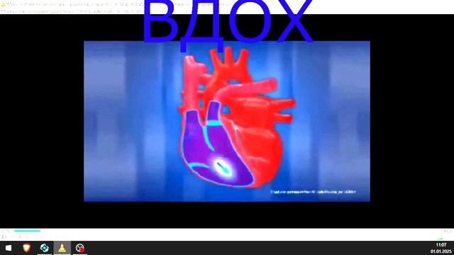 Как СЕРДЦЕ пропускает КРОВЬ при ВДОХЕ и при ВЫДОХЕ! Ритм клапанов Сердца 1 Гц!