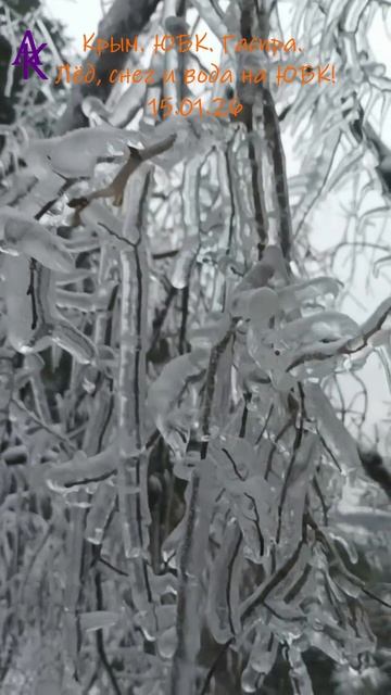 Крым. ЮБК. Ялта. Лёд, снег и вода на ЮБК! 15.01.26 #андрейкрымский #юбк #артемийкрым #водопад