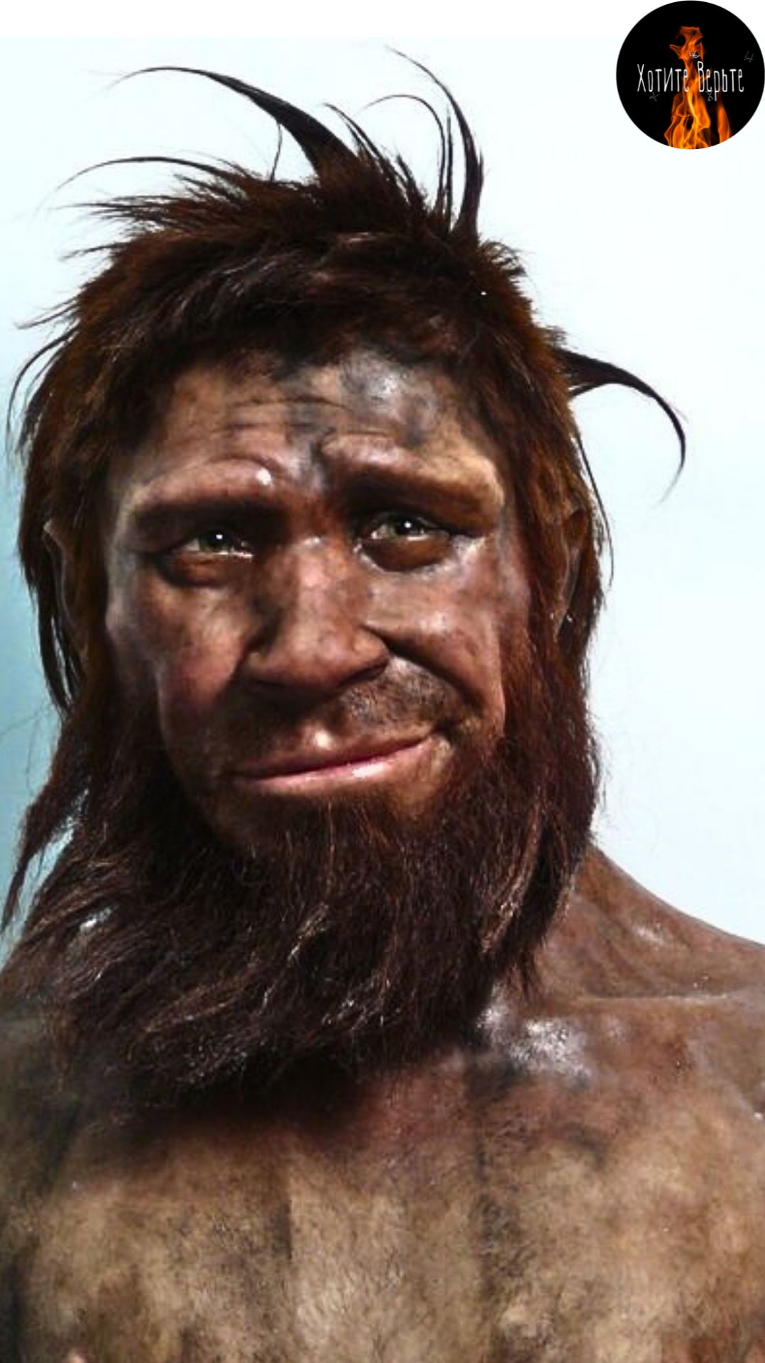 ЖАВОРОНКИ – ПОТОМКИ НЕАНДЕРТАЛЬЦЕВ???