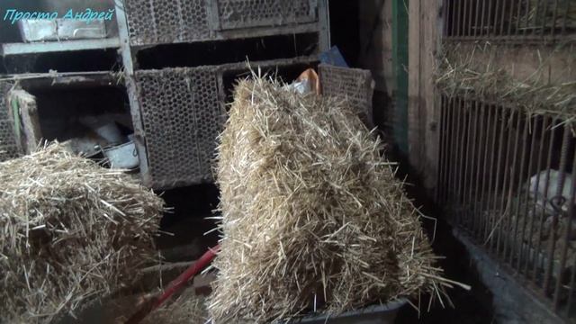 Нутрия готовимся к холодным ночам