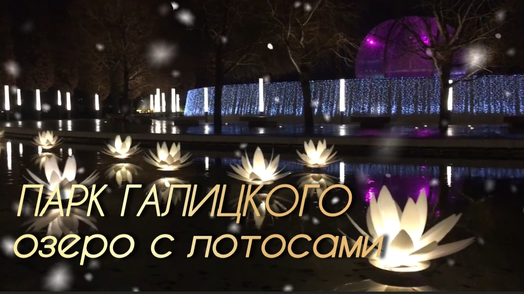 Парк Галицкого в январе. Озеро с лотосами✅