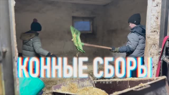 7 января | Рождество на конных сборах