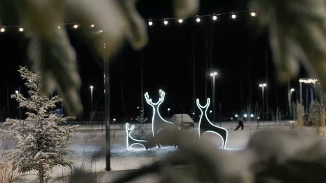 «Снег кружится, летает, летает...»