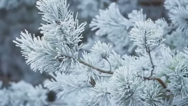 winter music relax. зимнее настроение фоновая музыка атмосферная уютная зима снег 2026