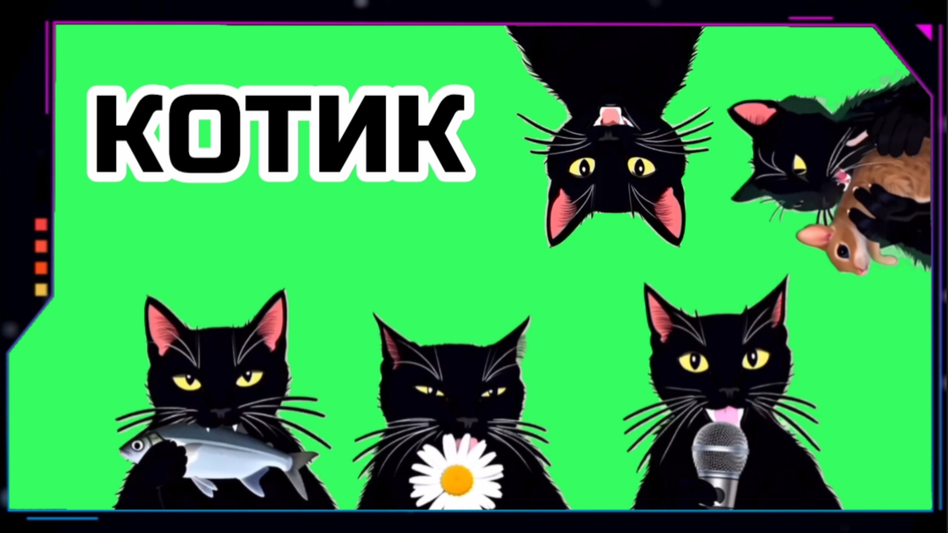Анимация ЧЁРНЫЙ КОТ МУЛЬТЯШНЫЙ на зелёном экране. Хромакей футаж GREEN SCREEN.