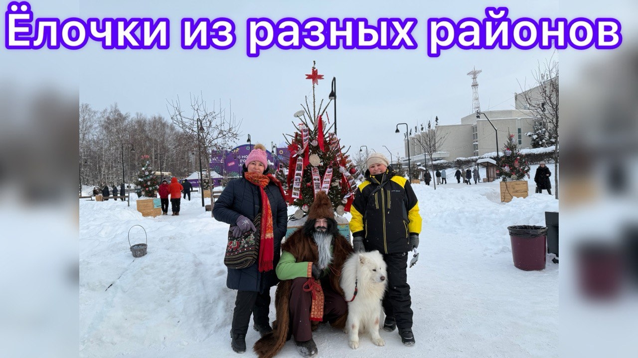 Ёлочки из разных районов🎄🥰😍🤩🥳🎉❄️